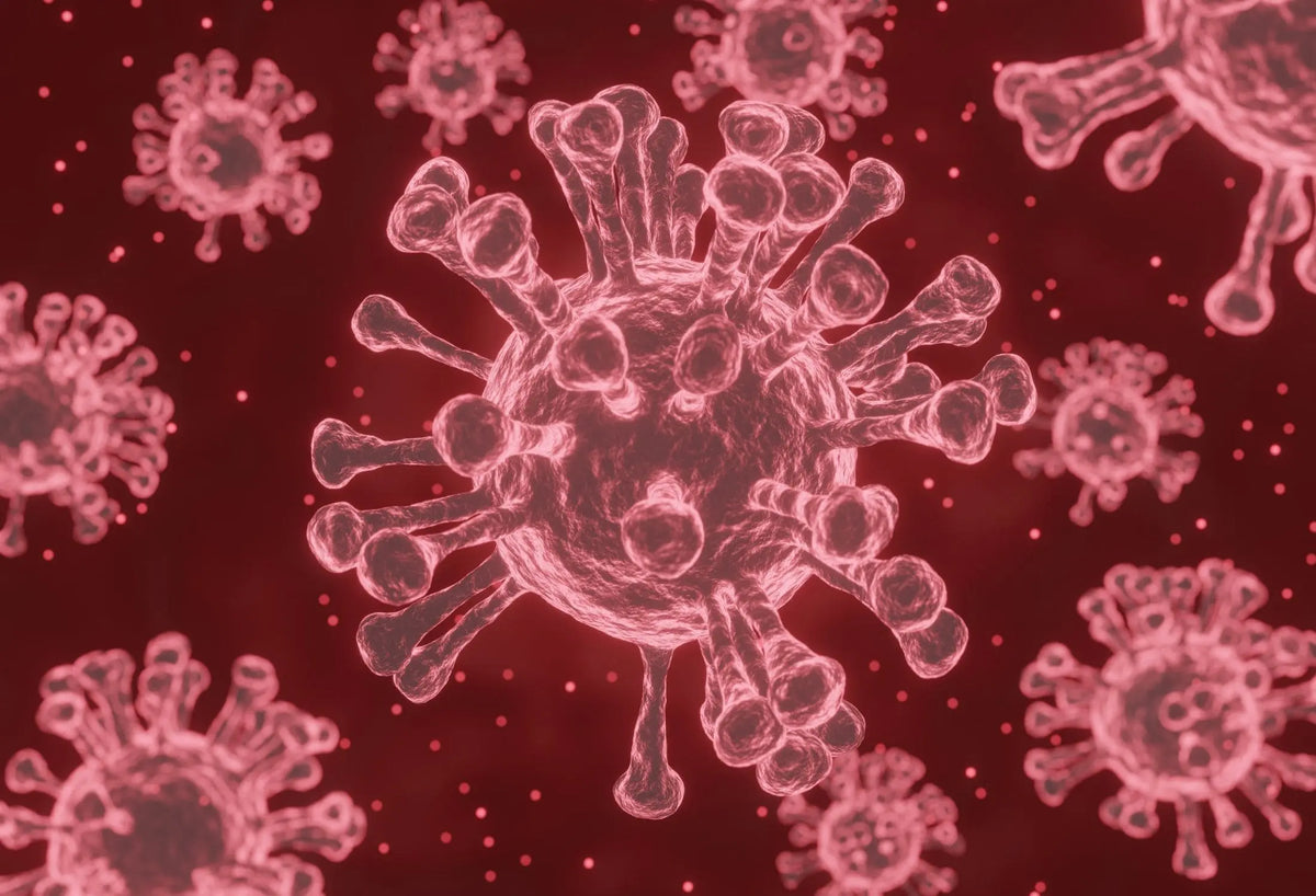 Best Air Purifier for Hospitals to Prevent Cross Infection in India ...